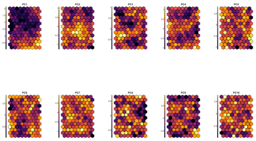 Text2Landscape: Visualize a Text in Multiple Spaces with R — Force-directed networks, Biofabric ...